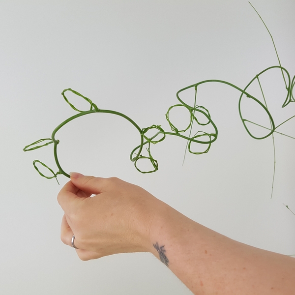 Tutorials - Wisteria Wreath Vine